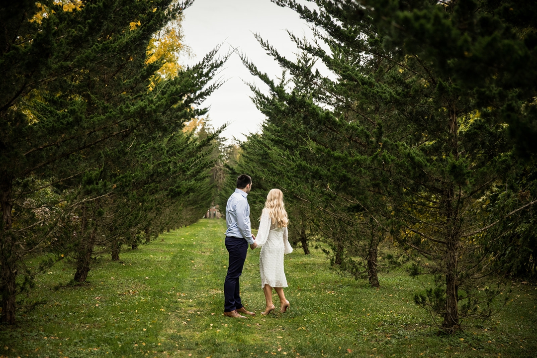 Maddy & Daley's Allerton Park Engagement | Rachael Schirano Photography
